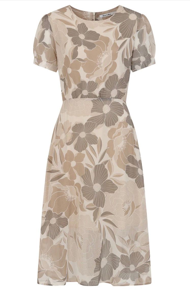 Alice Collins – CHAPEL STREET BOUTIQUE